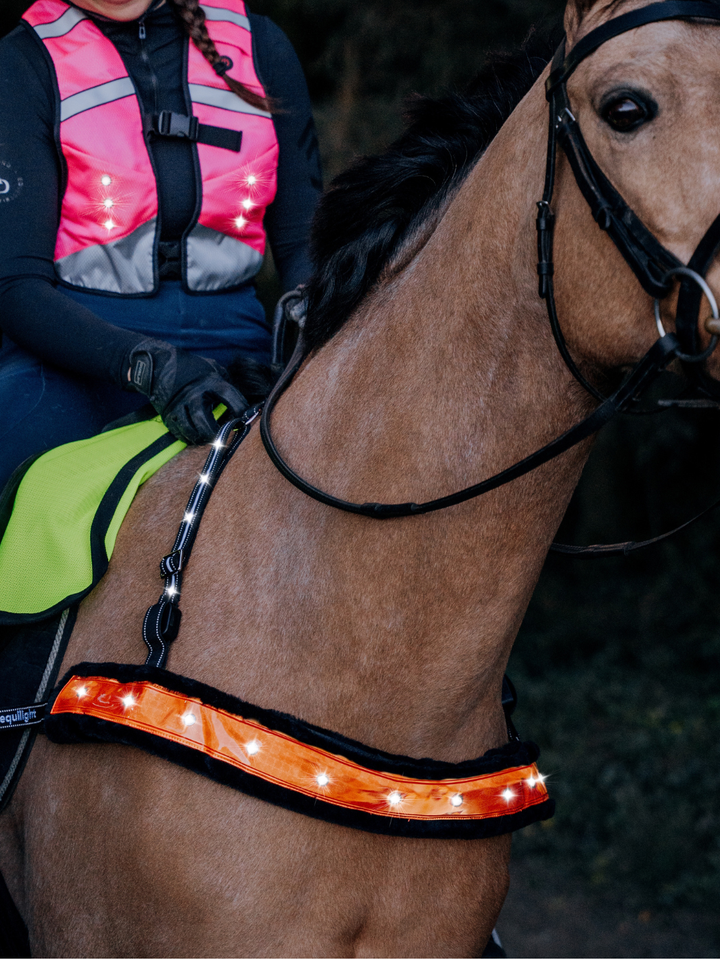 EQUILIGHT | Multi Award Winning LED Hi-Vis for Equestrians – Equi-Light